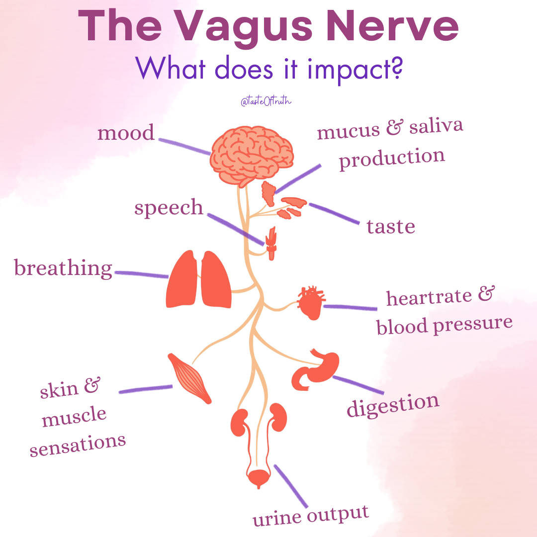 vagus nerve – Taste0ftruth Tuesdays